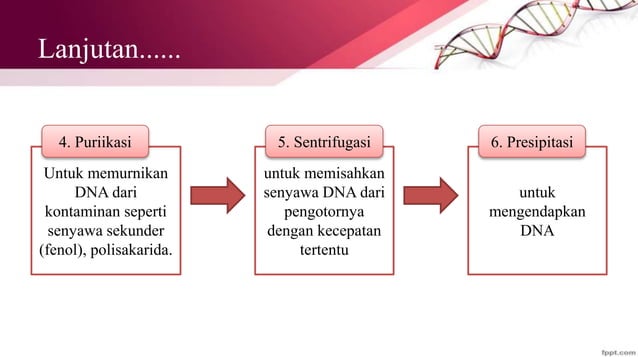 Isolasi DNA | PPTX