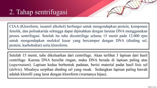 Isolasi DNA | PPTX