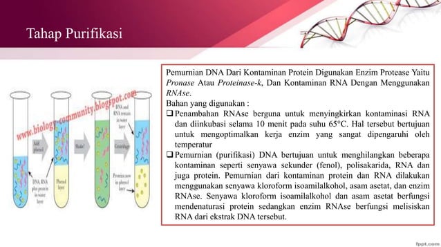 Isolasi DNA | PPTX