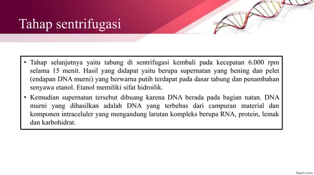 Isolasi DNA | PPTX