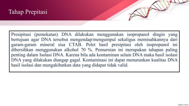 Isolasi DNA | PPTX