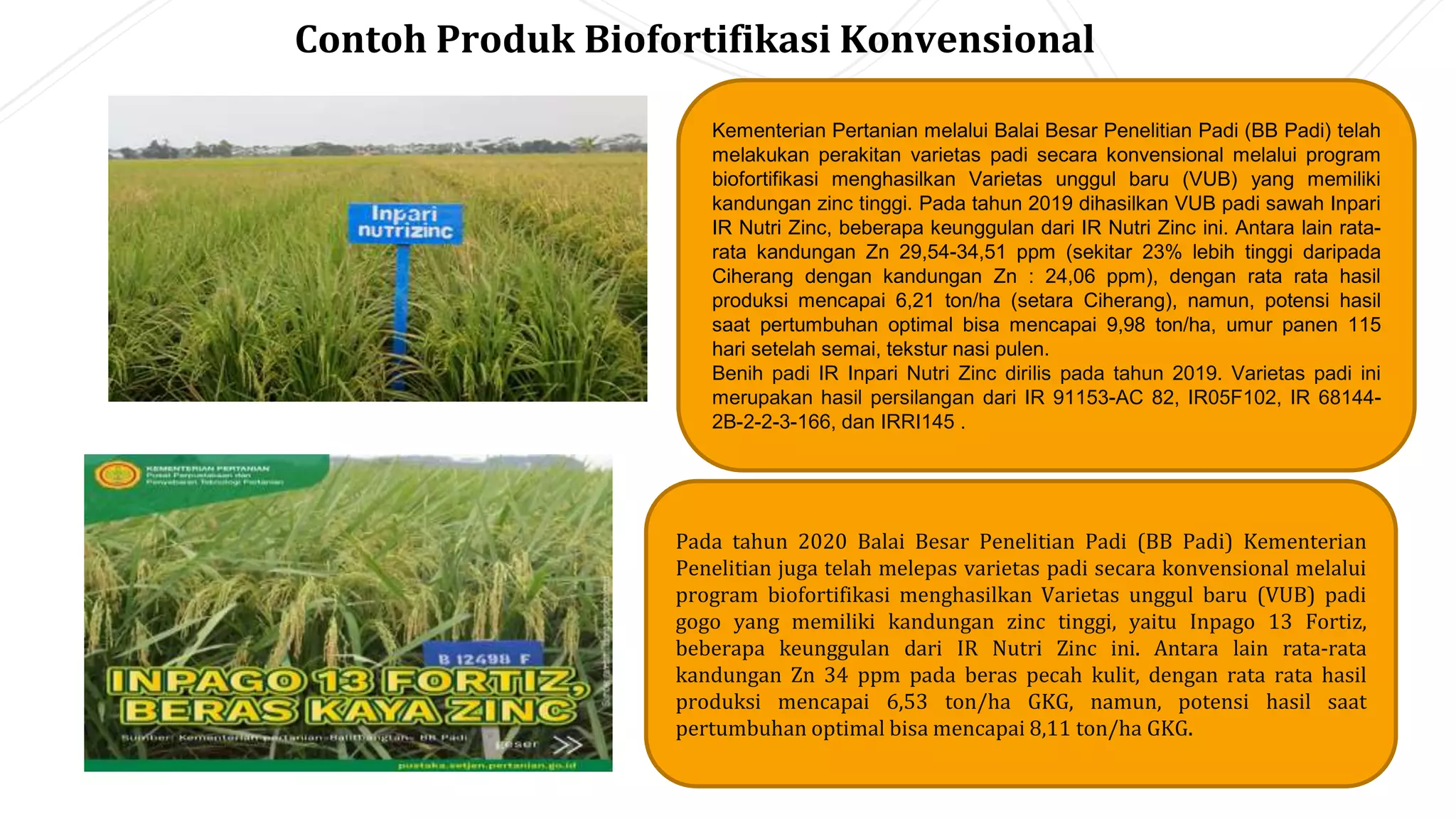 Bioteknologi Pada Bidang Gizi (BIOFORTIFIKASI).pptx