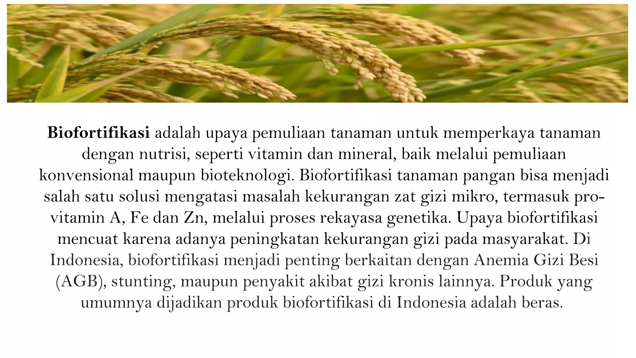 Bioteknologi Pada Bidang Gizi (BIOFORTIFIKASI).pptx