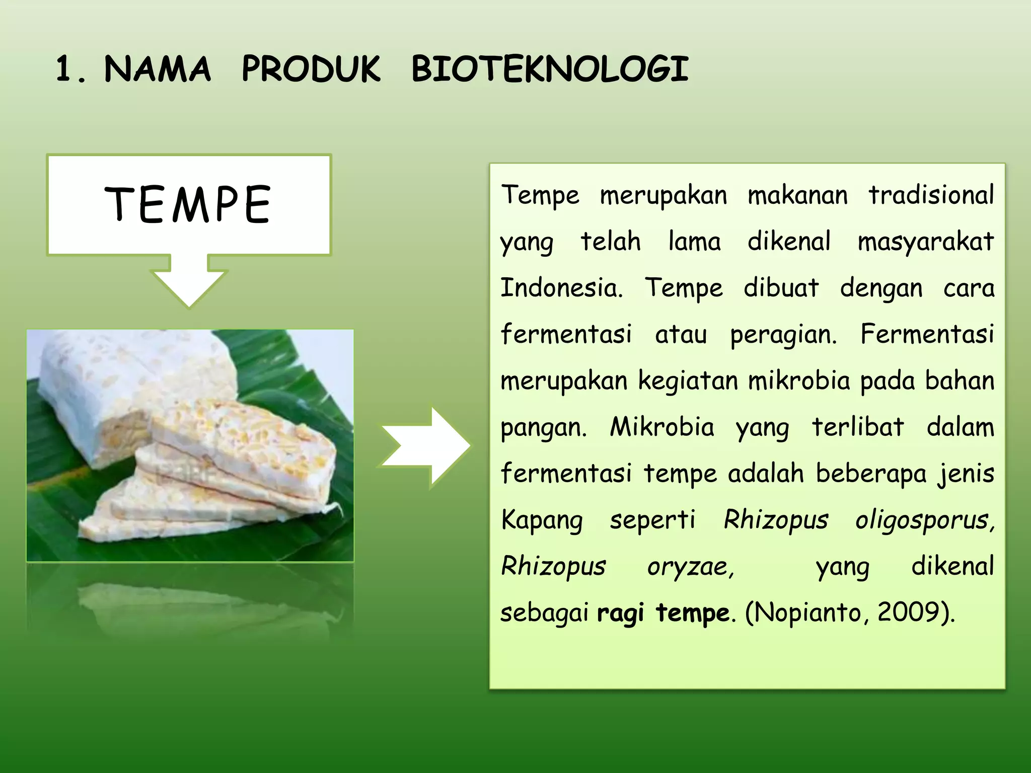 Pembuatan Tempe | PPTX