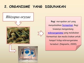 Pembuatan Tempe | PPTX