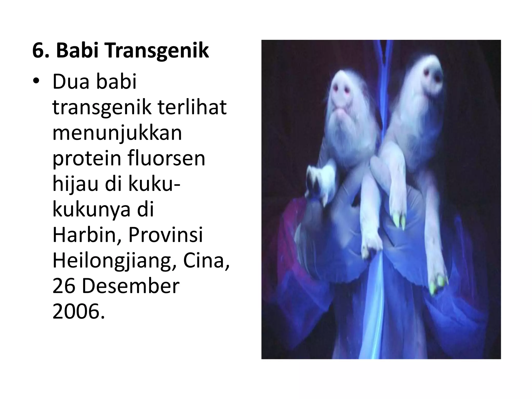 Bioteknologi transgenik (kel 2) | PPTX