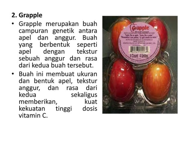 Bioteknologi transgenik (kel 2) | PPTX