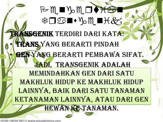 Bioteknologi transgenik (kel 2) | PPTX