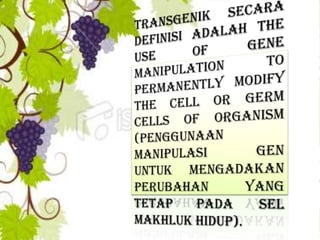 Bioteknologi transgenik (kel 2) | PPTX
