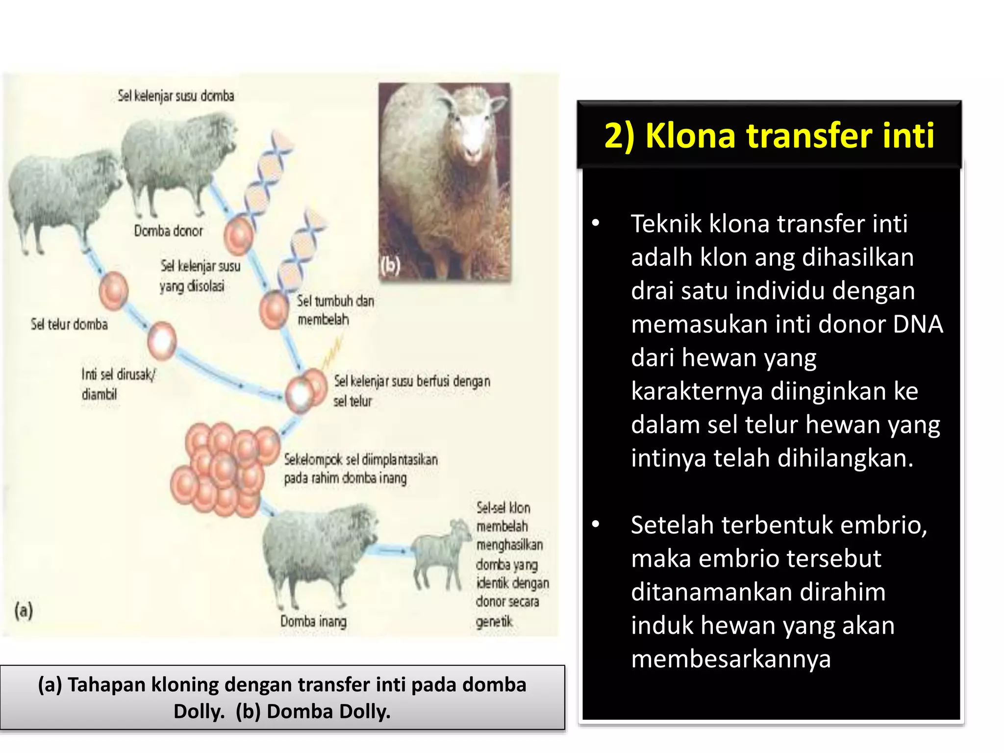 Bioteknologi yuanita 12_Science_2 | PPTX