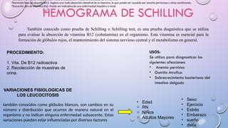 Importancia del metabolismo eritrocitario.pptx