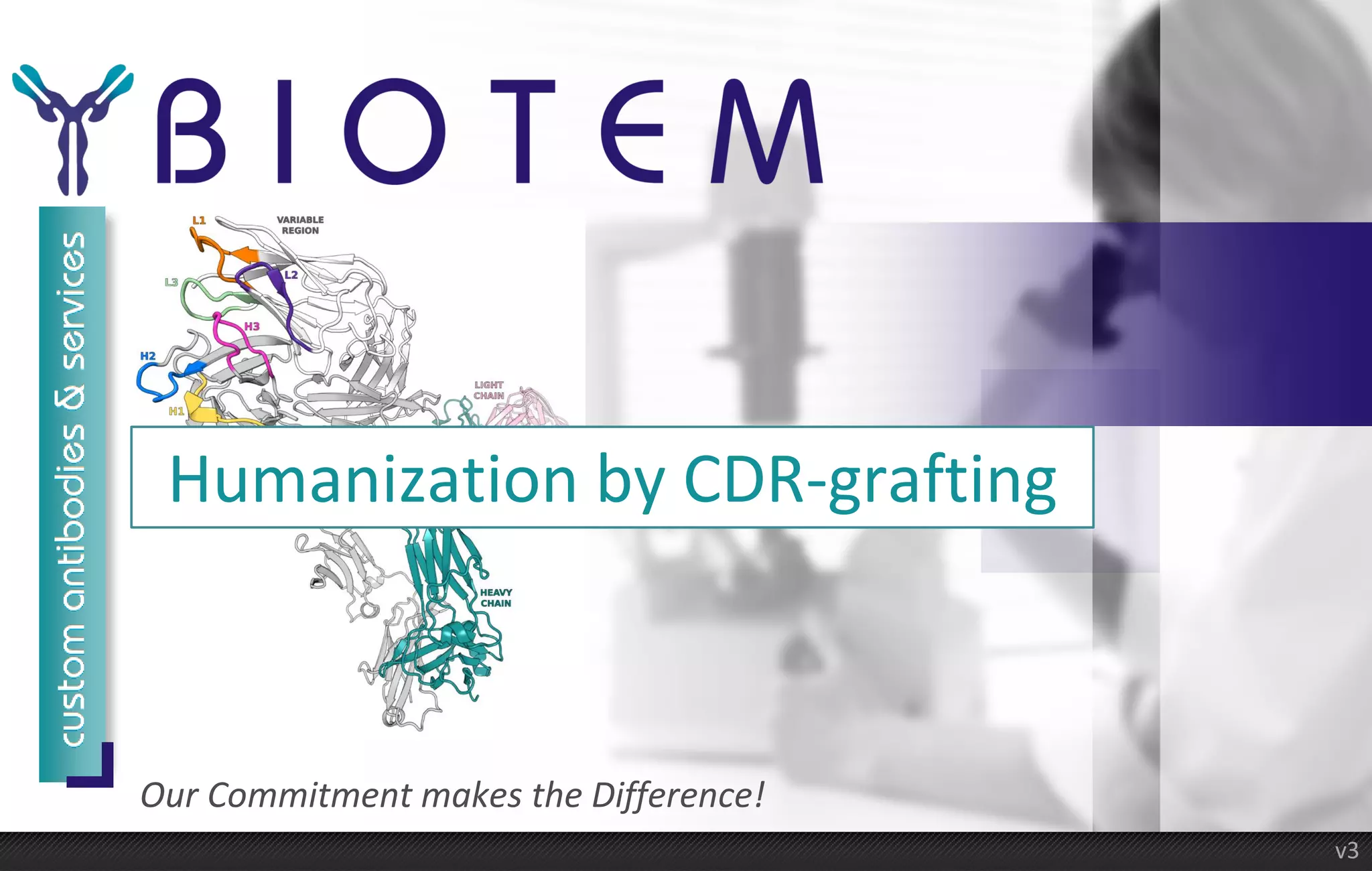 CDR-Grafting Antibody Humanization by BIOTEM | PDF
