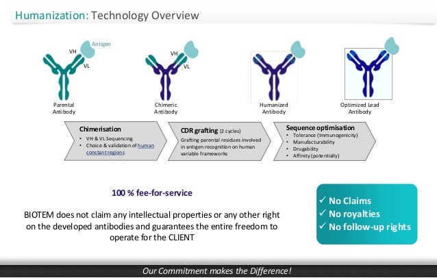 CDR-Grafting Antibody Humanization by BIOTEM