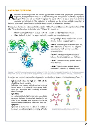 BIOTEM: Covid-19 and Serological Tests | PDF