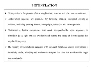 BIOTINYLATION | PDF