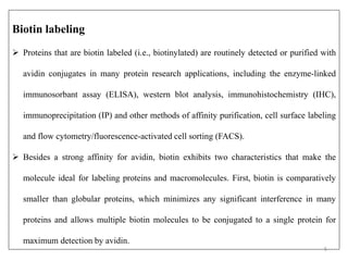 BIOTINYLATION | PDF