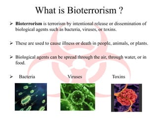 Bioterrorism | PPTX
