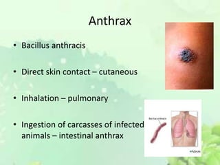 Bioterrorism | PPTX