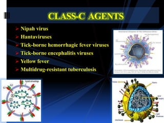 Bioterrorism | PPT