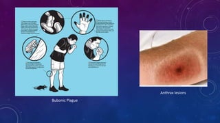 Bioterrorism | PPTX