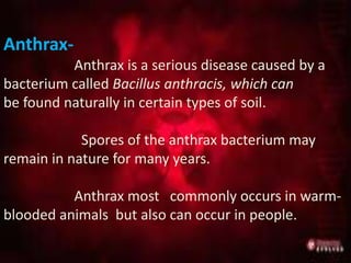 Bioterrorism | PPTX