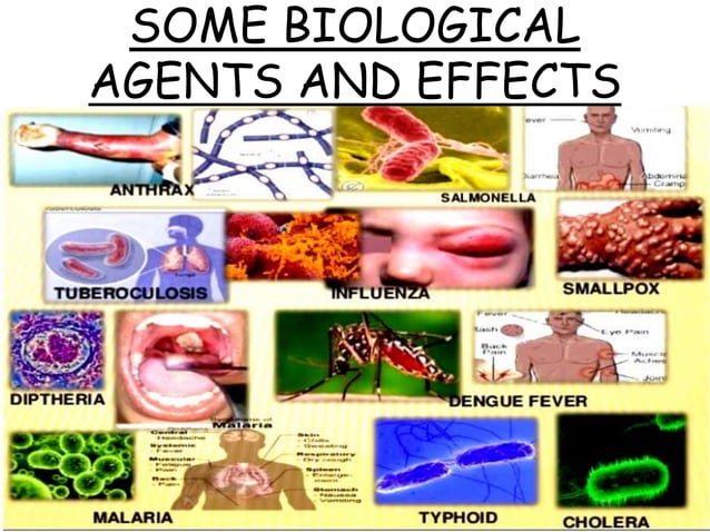 Bioterrorism and biological weapons | PPTX