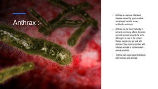 Bioterrorism | PPTX
