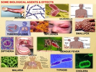 Bioterrorism | PPTX
