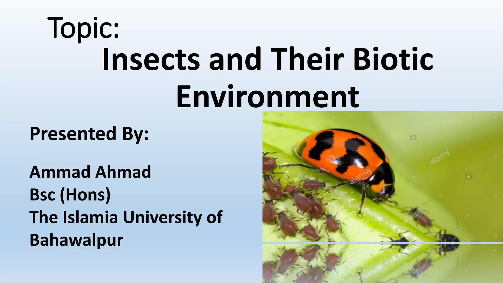 Insects and their biotic environment | PPTX