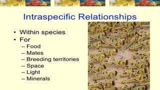Insects and their biotic environment | PPTX