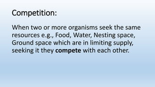 Insects and their biotic environment | PPTX