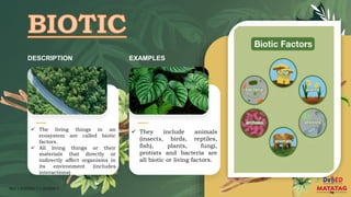BIOTIC.AND.ABIOTIC.LESSON.7.pptx
