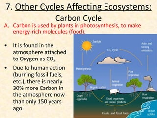 Biotic abiotic-cycles | PPT | Environment | Science