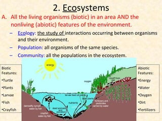 Biotic abiotic-cycles | PPT | Environment | Science