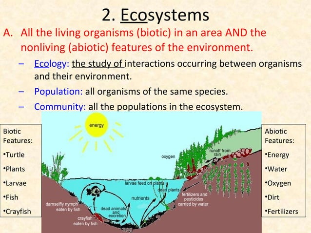 Biotic abiotic-cycles | PPT | Environment | Science