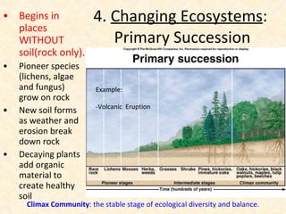 Biotic And Abiotic Cycle