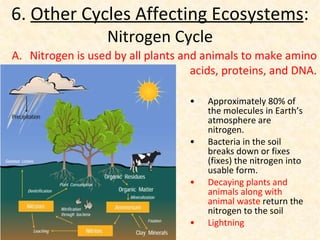 Biotic And Abiotic Cycle