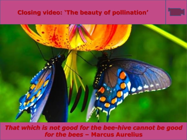 Biotic relationships Part 3 Some striking examples of … pollination | PPT