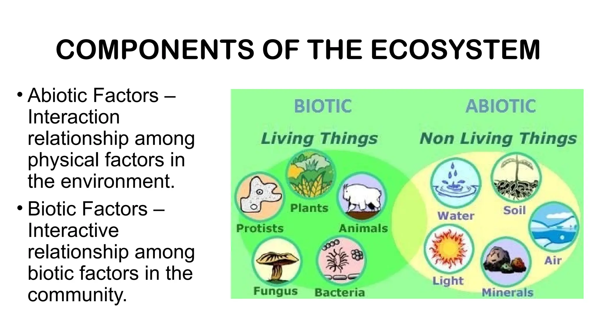 THE PHYSICAL CHARACTERISTICS OF BIOTIC & ABIOTIC FACTORS.pptx