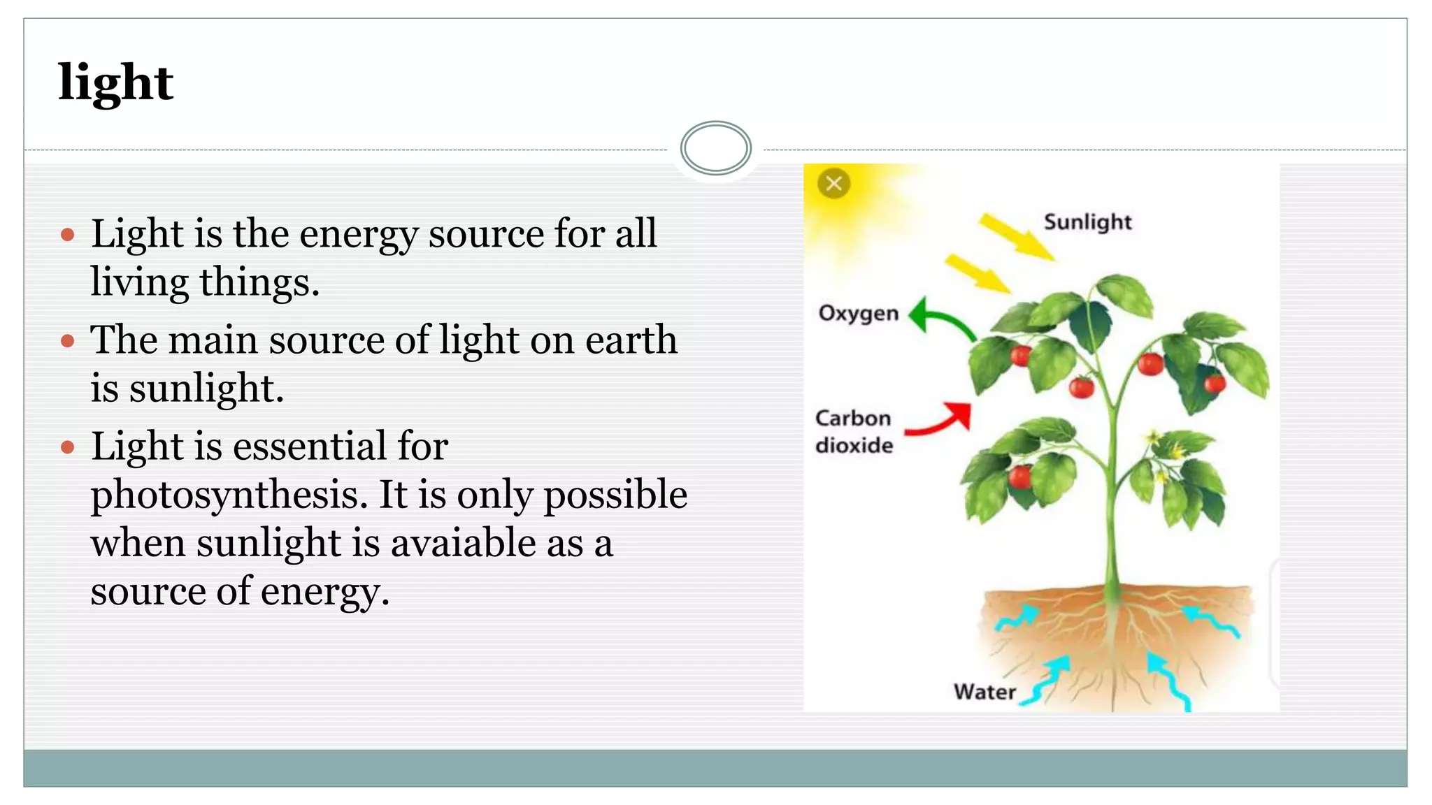 Ecosystem Biotic & Abiotic Factor | PPTX