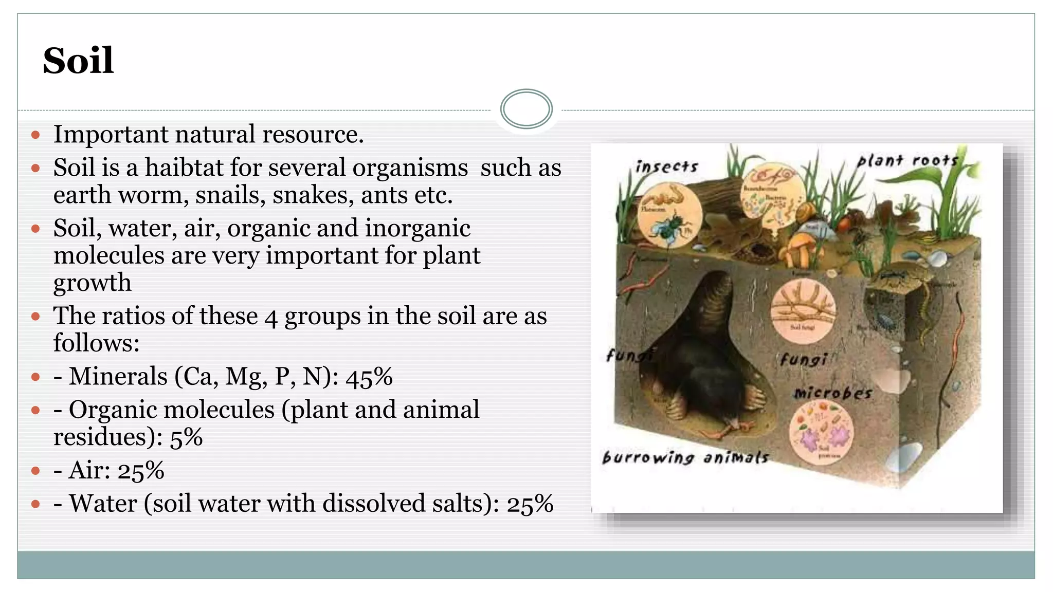 Ecosystem Biotic & Abiotic Factor | PPTX