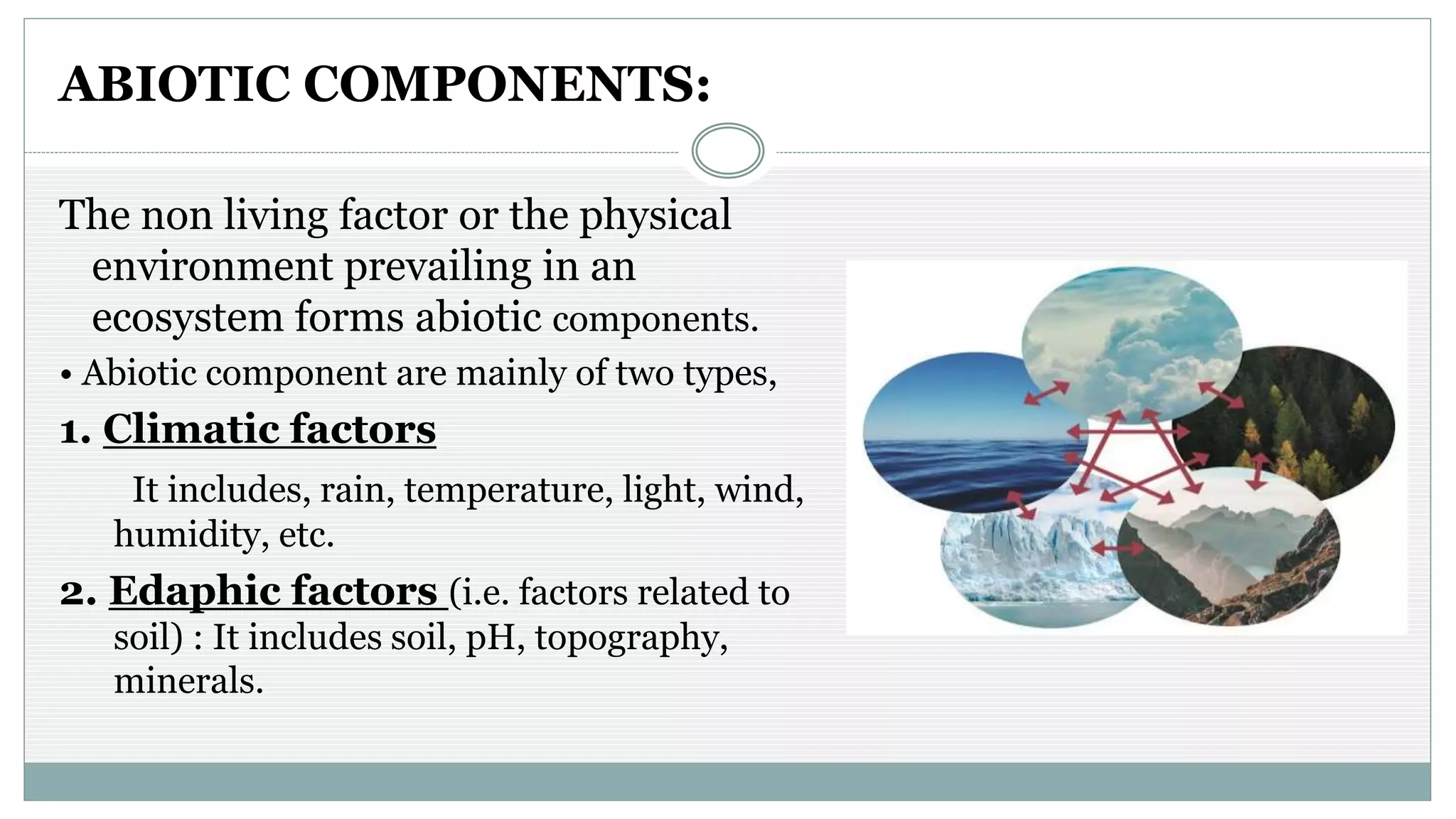 Ecosystem Biotic & Abiotic Factor | PPTX