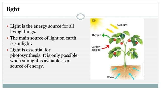 Ecosystem Biotic & Abiotic Factor | PPT