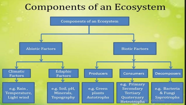 Ecosystem Biotic & Abiotic Factor | PPT