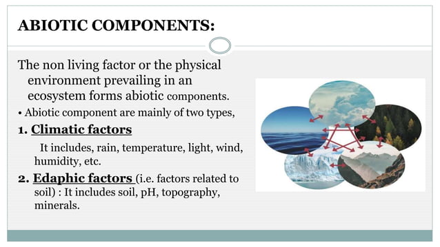 Ecosystem Biotic & Abiotic Factor | PPT