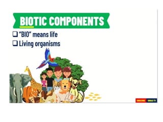 Biotic and Abiotic Factor.pptxppyxpptxpptx | PPTX
