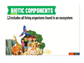Biotic and Abiotic Factor.pptxppyxpptxpptx | PPTX