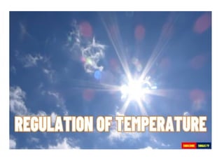 Biotic and Abiotic Factor.pptxppyxpptxpptx | PPT