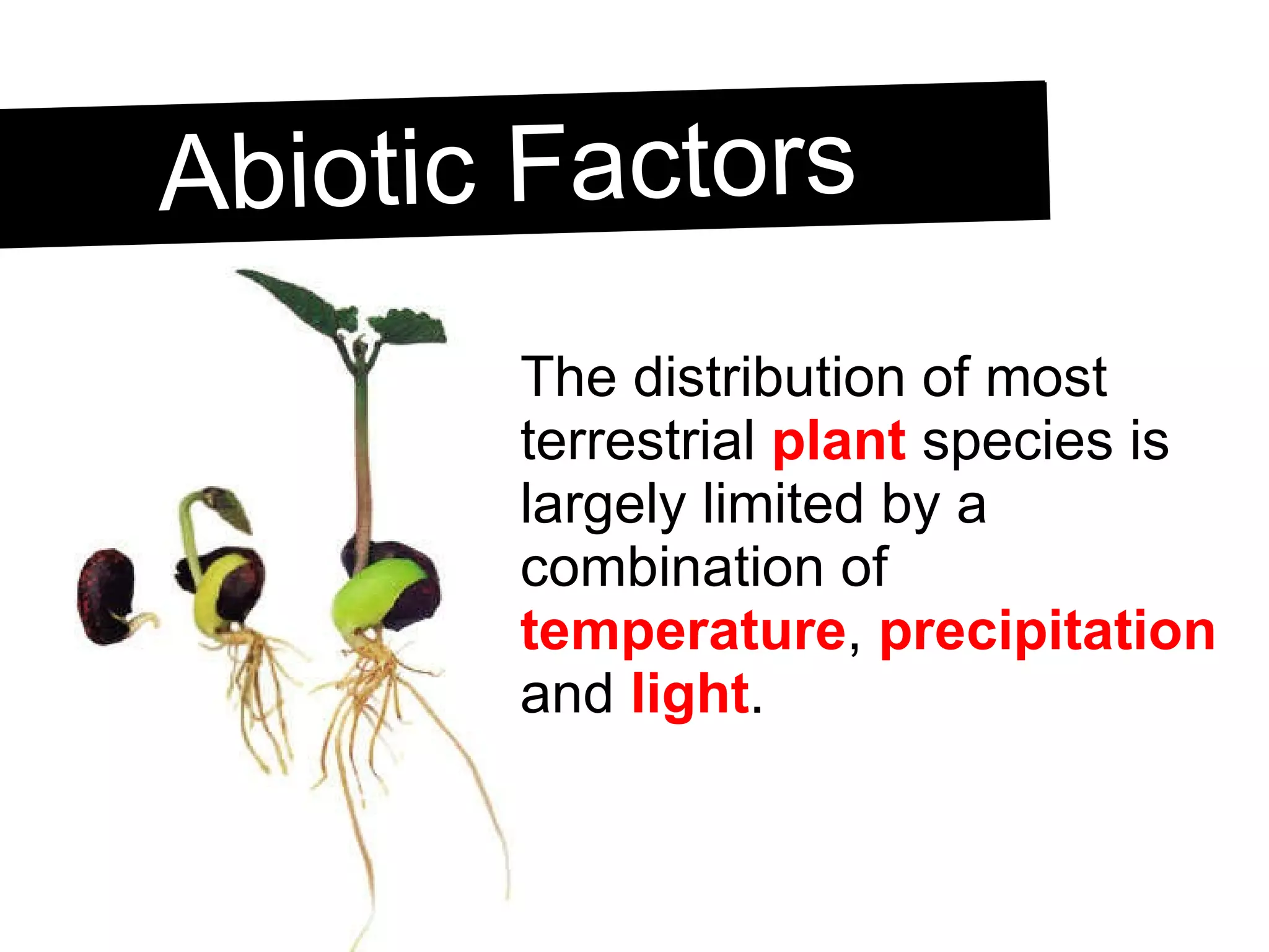 Biotic and Abiotic Factors | PPT