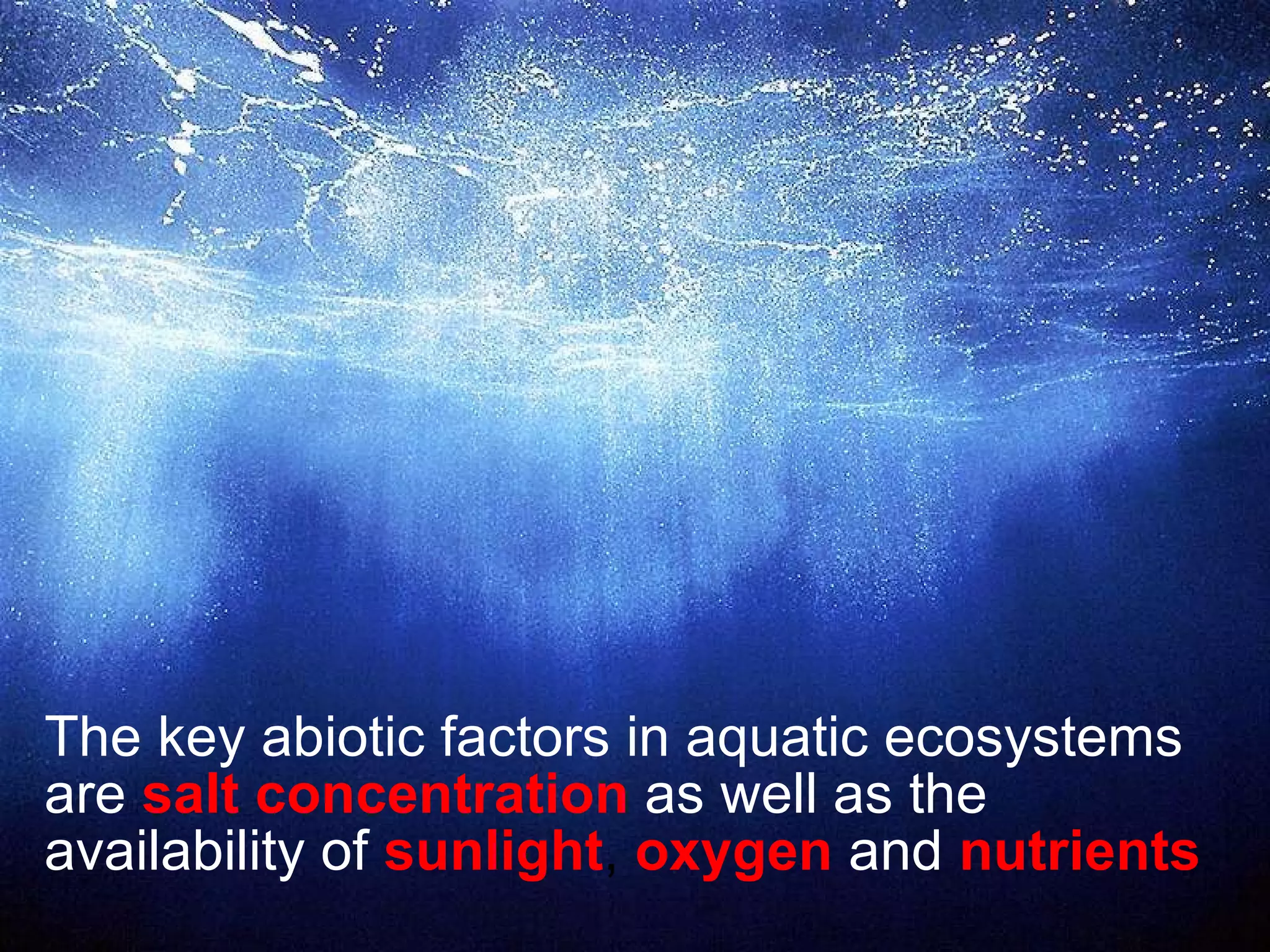 Biotic and Abiotic Factors | PPT